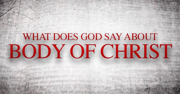 The Body Of Christ > What the church is, and isn't.